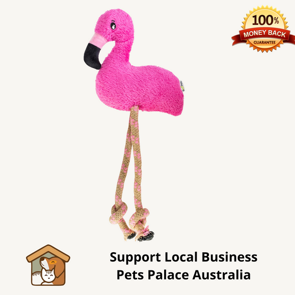 Beco Recycled Flamingo Dog & Cat Toy | Pets Palace Australia