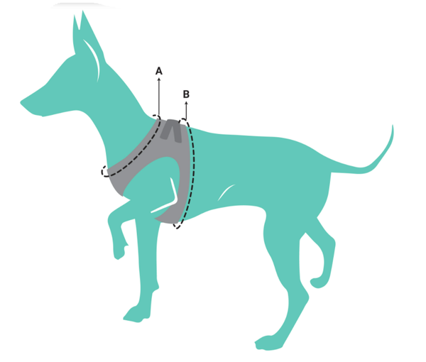 Fuzzyard Aloha Dolphins Step in Dog Harness | Pets Palace Australia