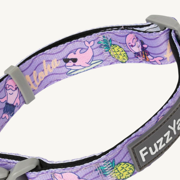 Fuzzyard Aloha Dolphins Dog Collar | Pets Palace Australia