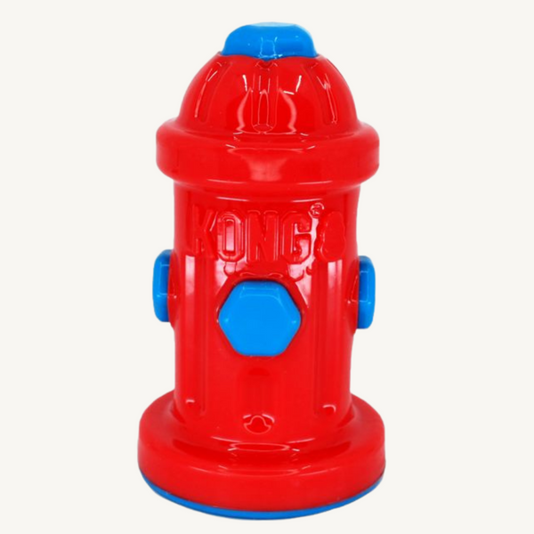 KONG Eon Fire Hydrant Dog Toy | Pets Palace Australia